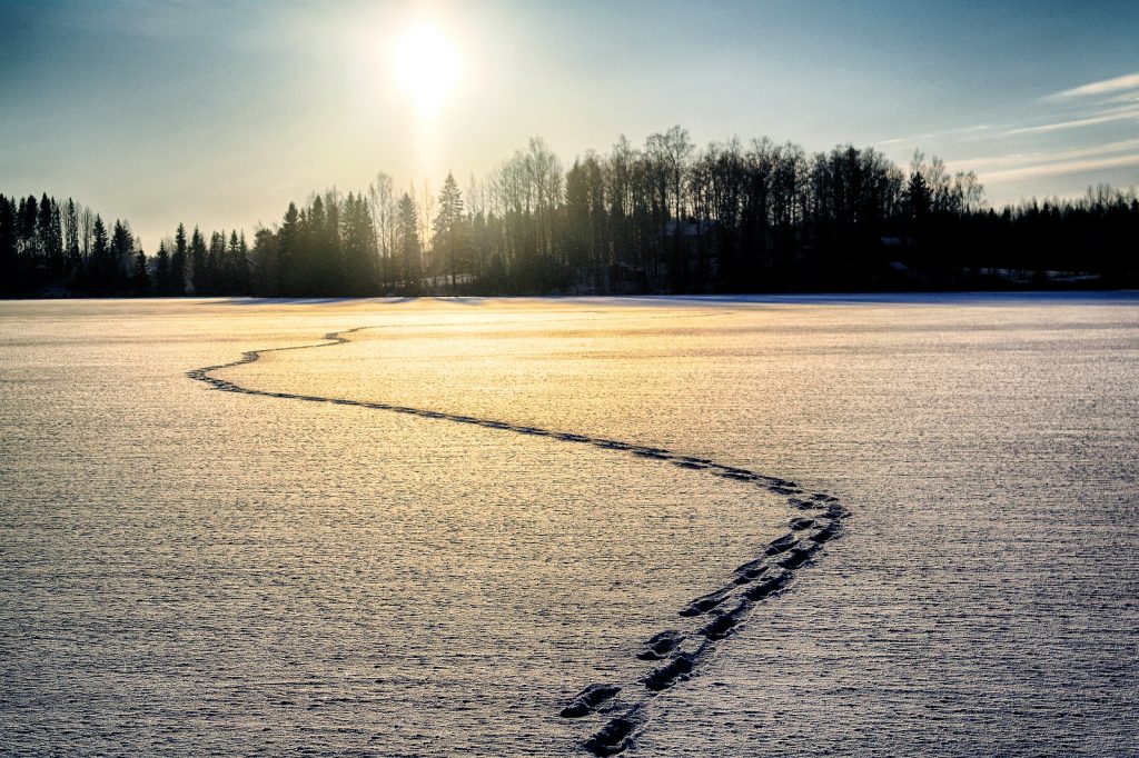 EXISTÊNCIA, EXISTIR, EXISTENTE. – Omnisversa